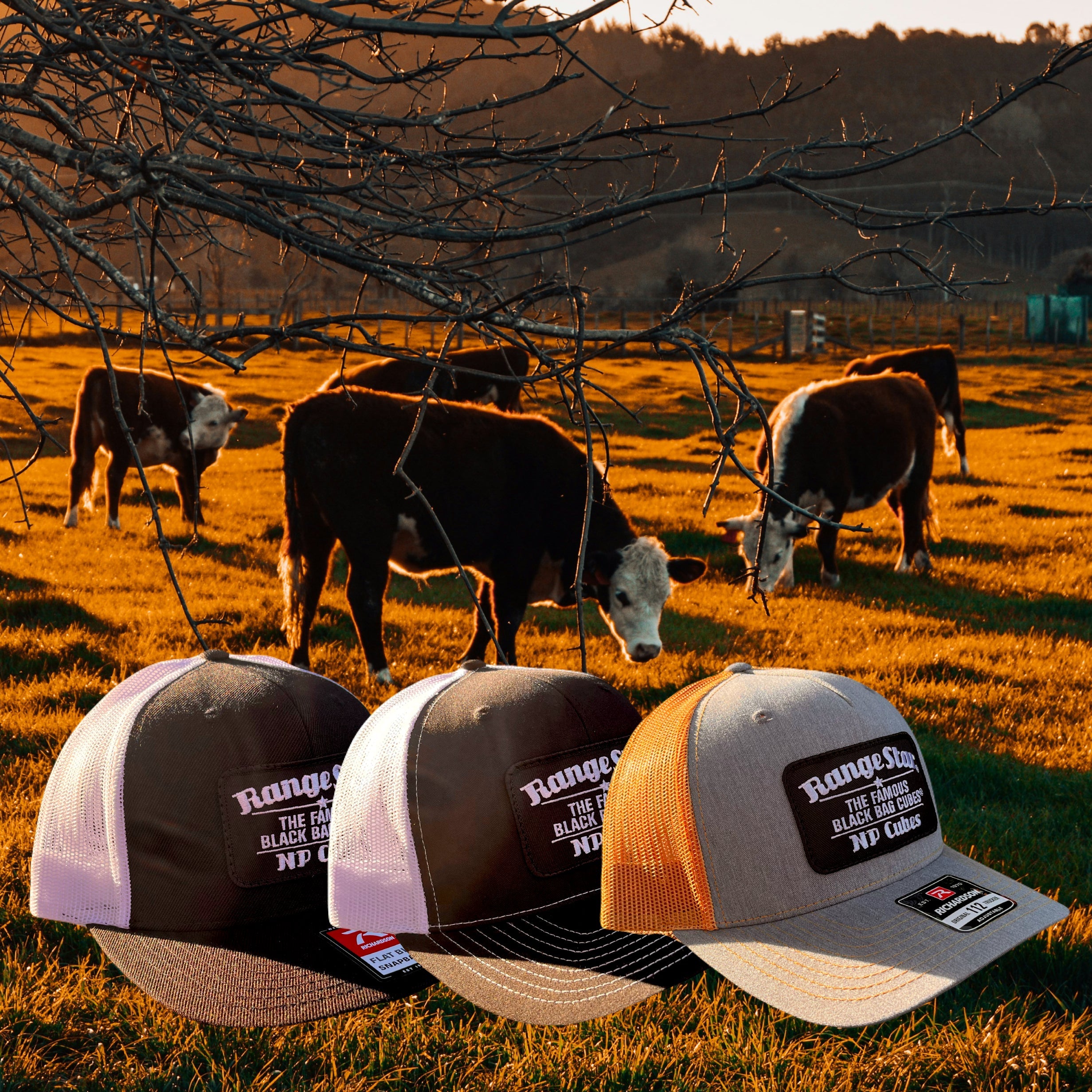 Range Star Black Bag Cubes – Lone Star Feed Apparel